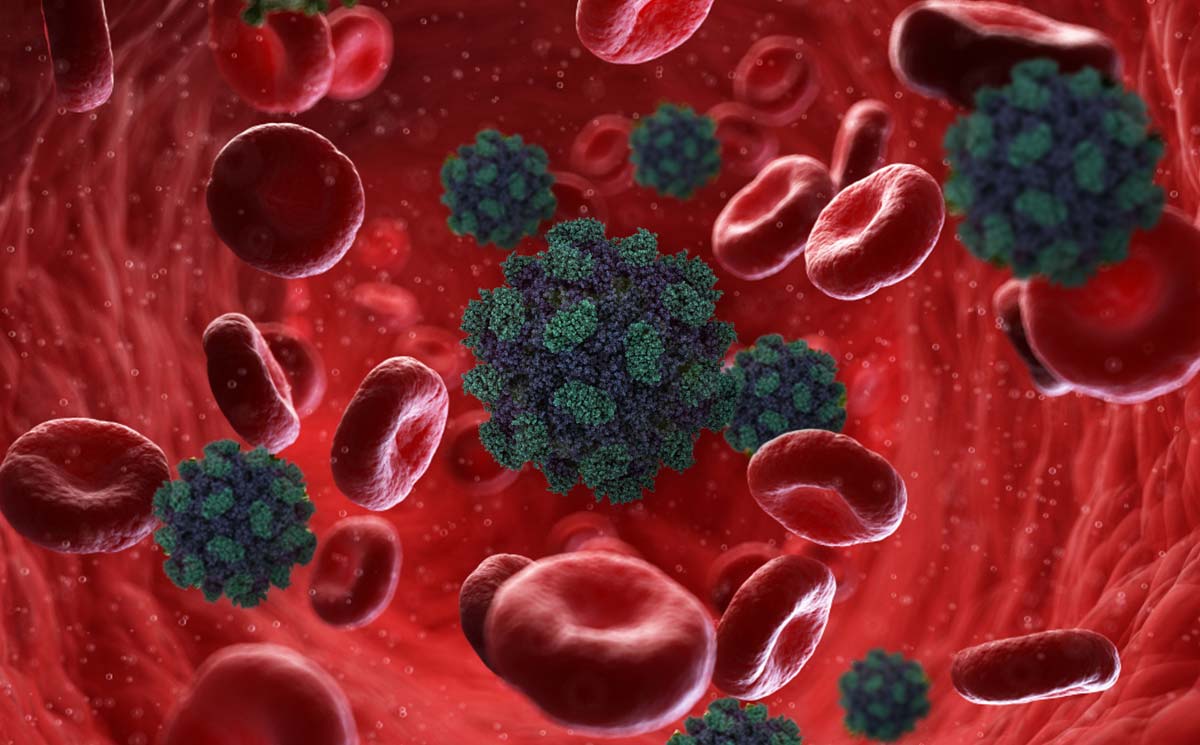 Epatite E (Virus HEV). Cos'è, Sintomi, Diagnosi, Prevenzione, Trattamento